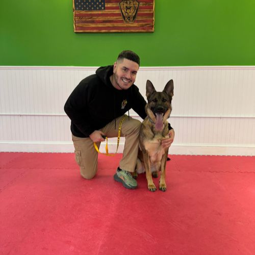 Rhode Islands #1 Rated Dog Trainers – Strategic K-9 Training RI